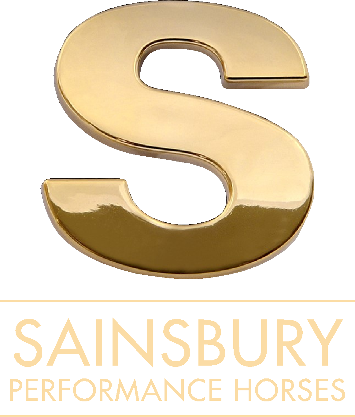 Shane Sainsbury Performance Horses – Stitch Em On Embroidery